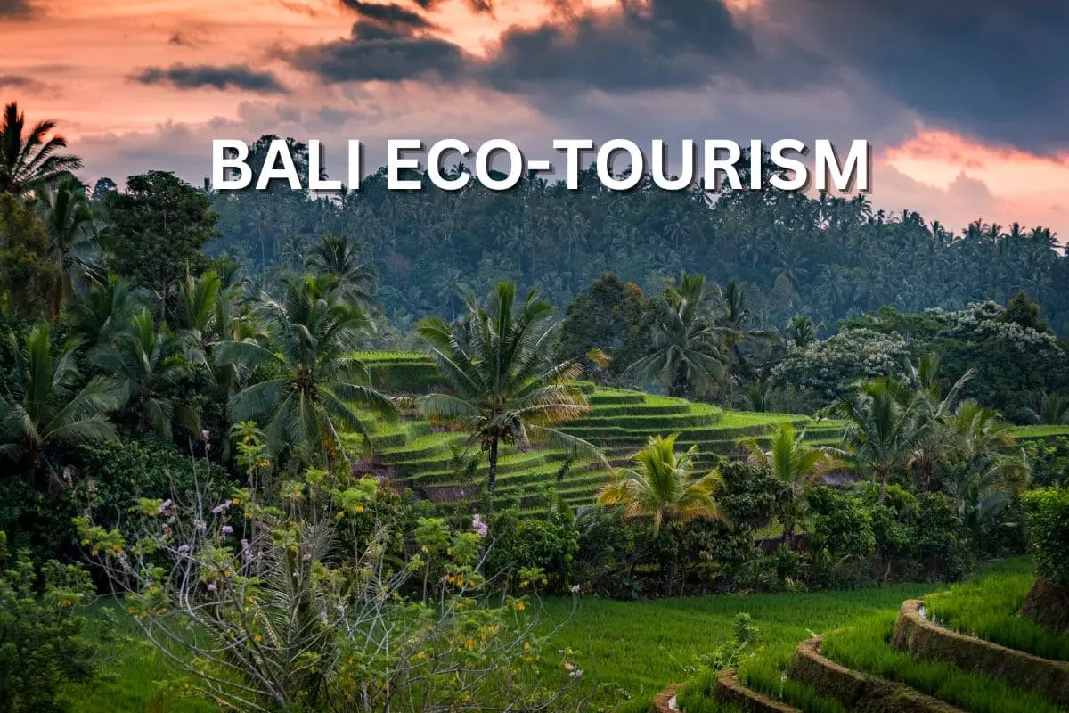 5 Must-Visit Eco-Tourism Destinations in Bali: A Sustainable Travel ...